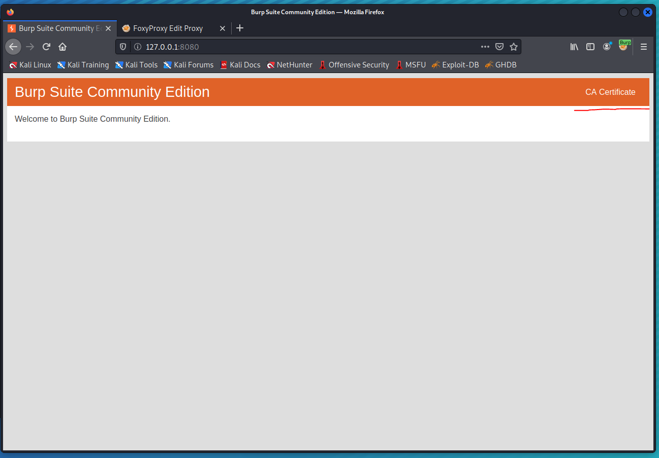 BurpSuite(CE)のインストール方法 - CyberDraco