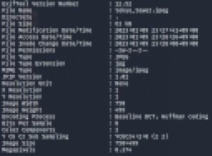 ドキシング(doxing)とは何か? - CyberDraco